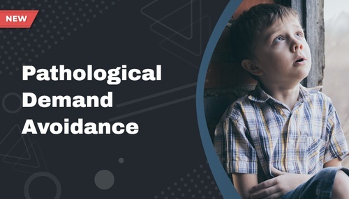 Help for children with Pathological Demand Avoidance - Reachout ASC